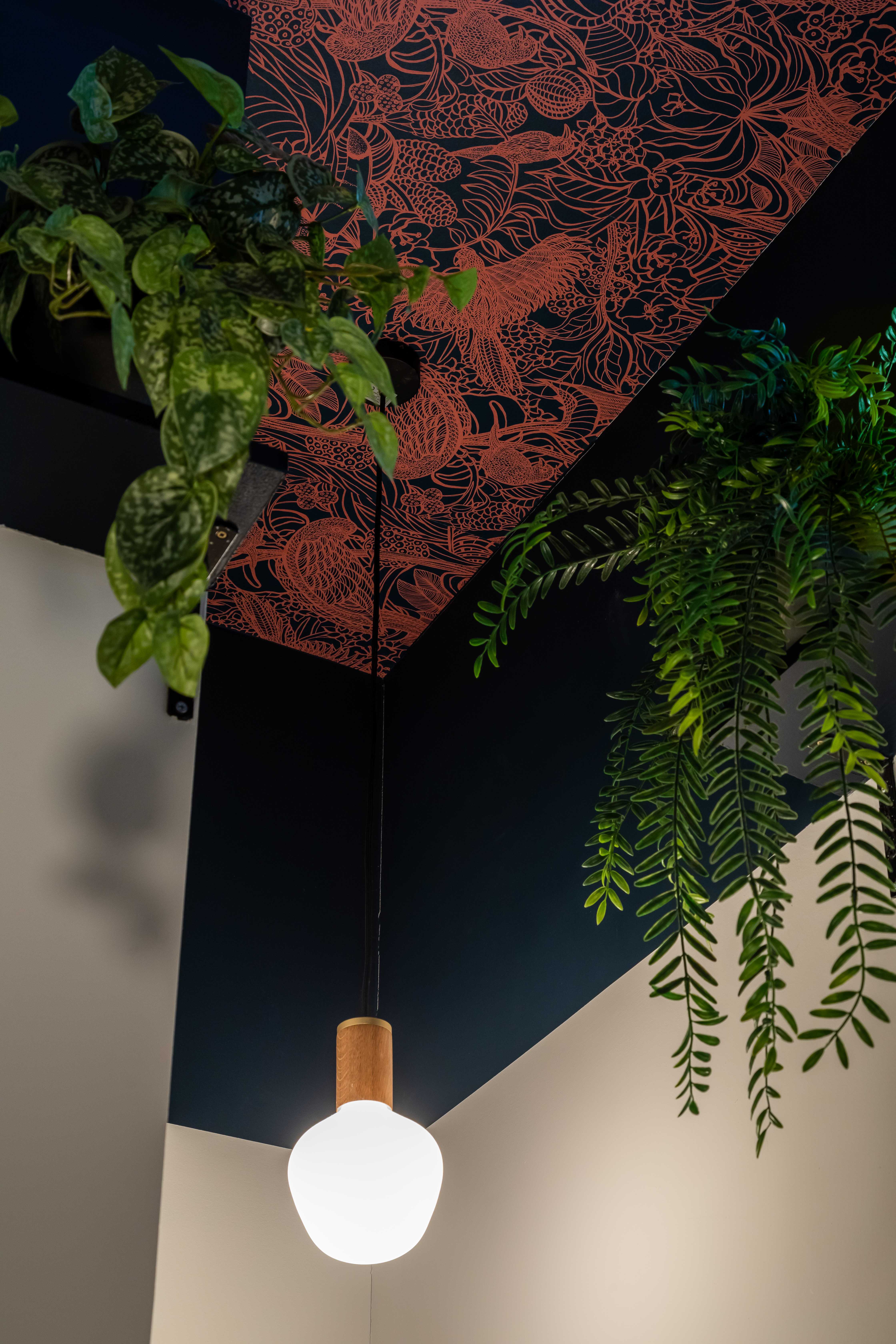 Kiss House: We interview architect and biophilic designer Oliver Heath.