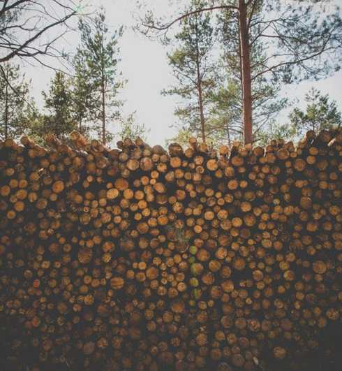 Kiss House: Our conversation with Tab Binding of Timber Development UK.