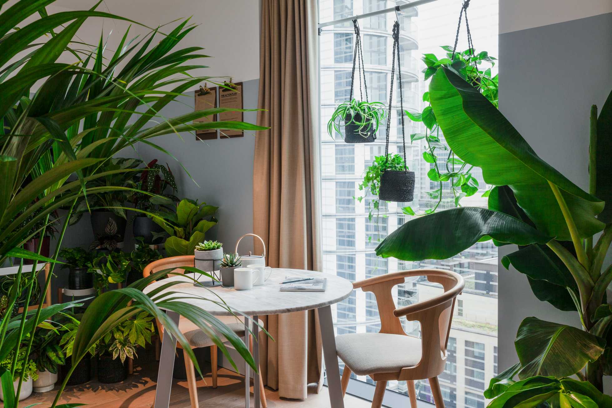 Kiss House: We interview architect and biophilic designer Oliver Heath.