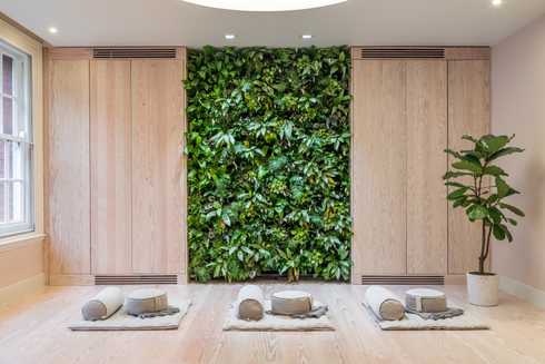 Kiss House: We interview architect and biophilic designer Oliver Heath.